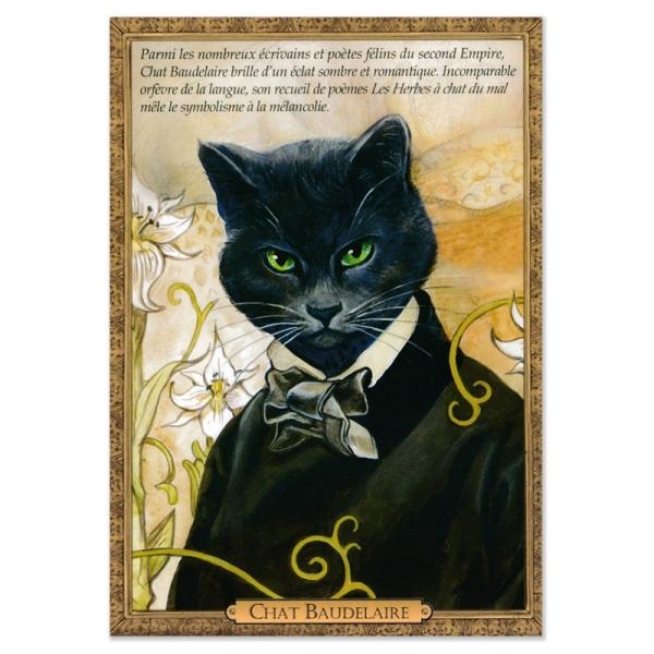 サイズ：約横幅15.0×縦幅10.5cm素　材：紙製※定形外郵便物OKブランド：AU Bord des Continentsデザイン：猫 キャット フランス パリ paris シャルル繊細なタッチでオシャレ＆コミカルに描かれたセブリーヌピノ...