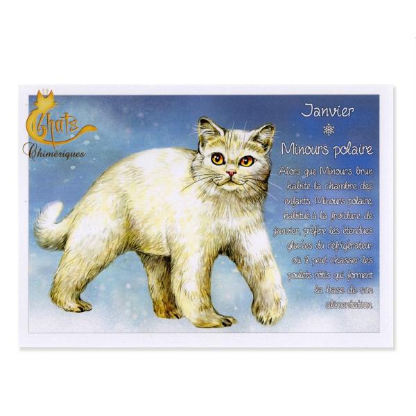 サイズ：約横幅15.0×縦幅10.5cm素　材：紙製※定形外郵便物OKブランド：AU Bord des Continentsデザイン：猫 キャット フランス パリ paris カトリーヌ １月 シロクマかわいいネコがデザインされた、オシャレ...
