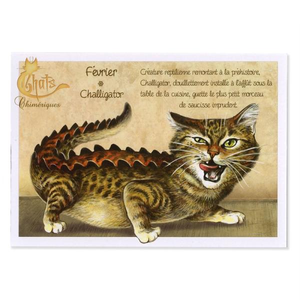 サイズ：約横幅15.0×縦幅10.5cm素　材：紙製※定形外郵便物OKブランド：AU Bord des Continentsデザイン：猫 キャット フランス パリ paris カトリーヌ ２月 アリゲーターかわいいネコがデザインされた、オシ...