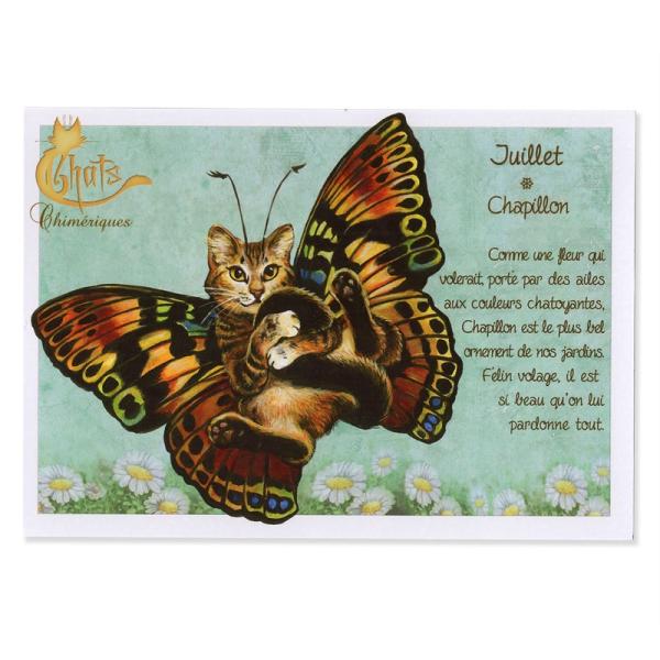 サイズ：約横幅15.0×縦幅10.5cm素　材：紙製※定形外郵便物OKブランド：AU Bord des Continentsデザイン：猫 キャット フランス パリ paris カトリーヌ 7月 蝶かわいいネコがデザインされた、オシャレなフラ...