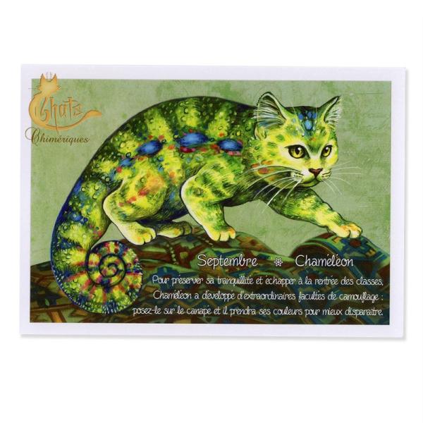 サイズ：約横幅15.0×縦幅10.5cm素　材：紙製※定形外郵便物OKブランド：AU Bord des Continentsデザイン：猫 キャット フランス パリ paris カトリーヌ 9月 カメレオンかわいいネコがデザインされた、オシャ...