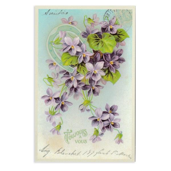 サイズ：約縦幅10.5×横幅14.0cm※定形外郵便物OKブランド：la maison de la violetteデザイン：花 すみれ 紫色 白色 フランス 西フランス 馬スミレの生産で有名なトゥールーズ地方をモチーフとしたスミレの輸入ポ...