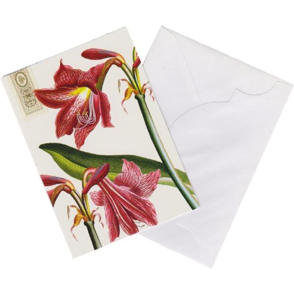 サイズ：約12.7×17.7cm(カードの大きさ)約9.4×13cm(封筒の大きさ)※定形外郵便物OKブランド：Michel Design Worksデザイン：花 アマリリス 赤色キッチン雑貨・ステーショナリー・NY発Michel Desi...