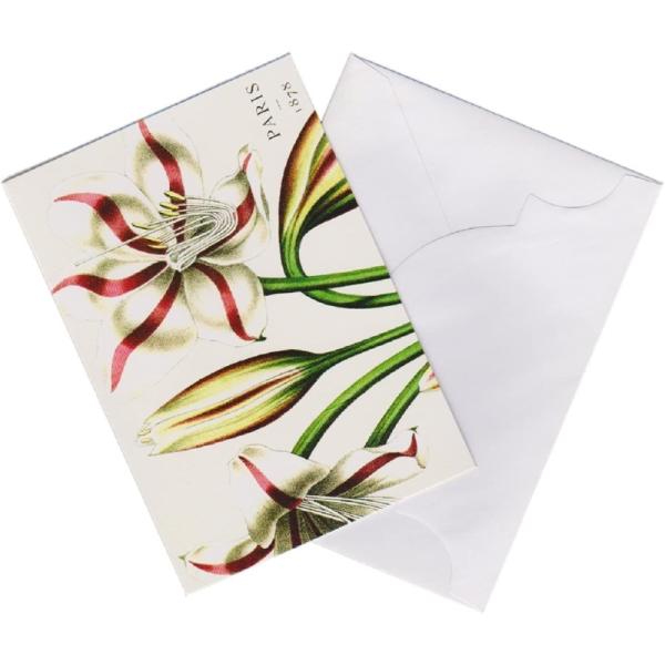 サイズ：約12.7×17.7cm(カードの大きさ)約9.4×13cm(封筒の大きさ)※定形外郵便物OKブランド：Michel Design Worksデザイン：花 アマリリス 白色キッチン雑貨・ステーショナリー・NY発Michel Desi...