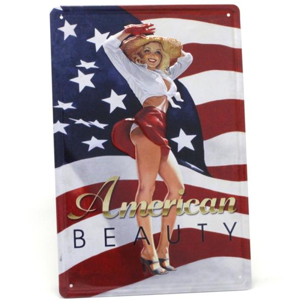 サイズ：約縦30.0×横20.0cm※定形外郵便物OKデザイン：アメリカ ガレージ 看板 ポスター アンティーク調のメタルプレートアメリカ国旗の前に女性が描かれたアメリカンなメタルプレートです。表面はエンボス加工されている為、光の反射がイラ...
