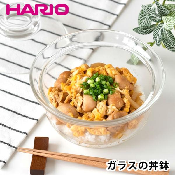 検索キーワードガラス容器 耐熱 ハリオ ガラス HARIO ガラスのある生活 ガラスの丼鉢 クリア 母の日 おしゃれ 器 おしゃれ 600ml ギフト 蓋付き 一人分 ボウル 日本製 耐熱ガラス 食洗機対応 料理 電子レンジ対応