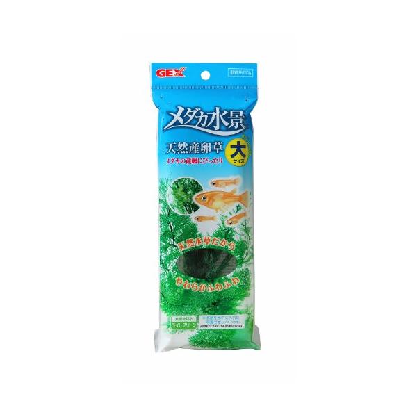 産卵・無し 大 ・・PatternName:単品・本体サイズ (幅X奥行X高さ) :9.5×1.8×25cm・本体重量:12g・原産国:中華人民共和国