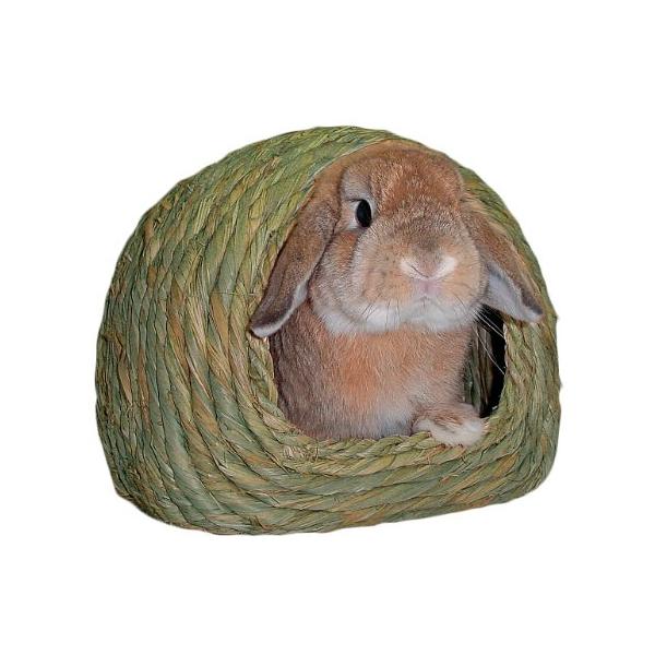 ・無し ワンサイズ ・栄養成分:粗繊維質 34.1%、たんぱく質 5.0%、脂質 1.0%