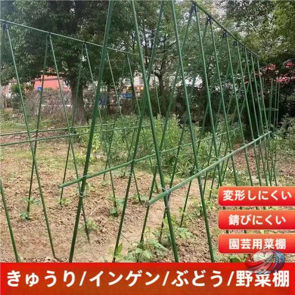 植物支柱 園芸支柱 つる空中栽培 つる性植物   観葉植物 きゅうり棚 ヘチマ棚、ブドウ棚 野菜棚 つる性植物棚