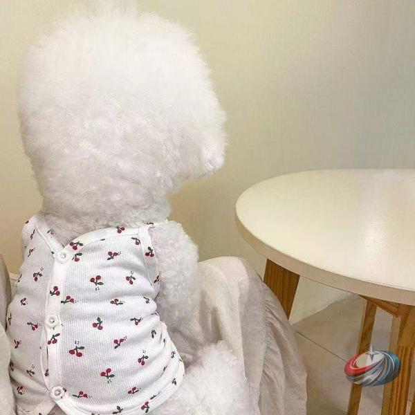 ?商品の特徴わんちゃん、ねこちゃん用のワンピースです。写真撮影、イベント、プレゼントに最適。お出かけ時にドレスアップ?お散歩時の汚れ防止や直射日光対策、防虫、防寒、エアコンの直風対策など大活躍します。?シーズン春夏 秋冬 オールシーズン?注...