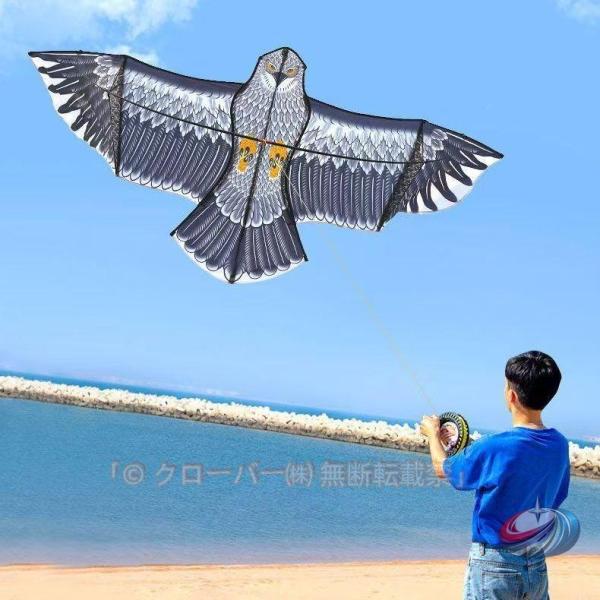 鳥よけ カイト 鷹 (ポール竿付) 軽量丈夫 防鳥具 鳥追い 畑 植物保護 農業用 カイト鷹 1.5m凧 4mポール
