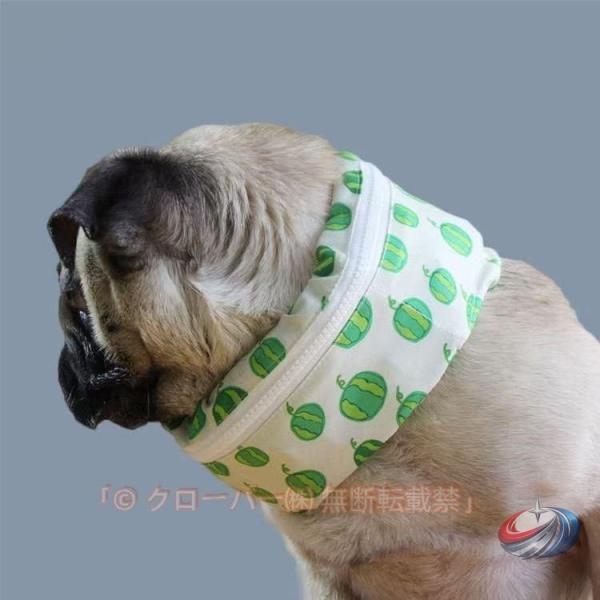商品名:犬クールネック 犬用 クールスヌード 保冷剤スヌード 首 熱中症対策 小型犬 中型犬 大型犬 冷たい 涼しい                            商品説明:クールネック 犬 夏 暑さ対策              ...