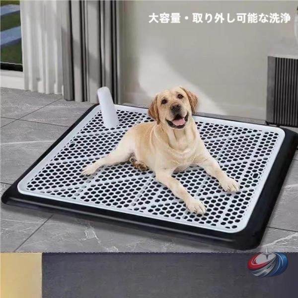 L:長さ50cm 幅36cm※サイズは平置き実寸になります。サイズ表の実寸法は商品によって1-3cm程度の誤差がある場合がございます。