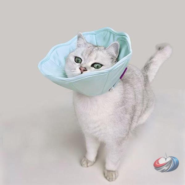 【多機能】犬?猫の皮膚病、避妊?去勢手術、かゆみ、赤みや手術の回復過程等で、傷口を舐めたり、噛んだりする行為を防ぐ機能に加え、爪切りや入浴の際などにもご活用頂けます。検索ワード：ソフト 軽量 猫 術後ケア 傷舐め防止 引っ掻き防止 爪切り ...