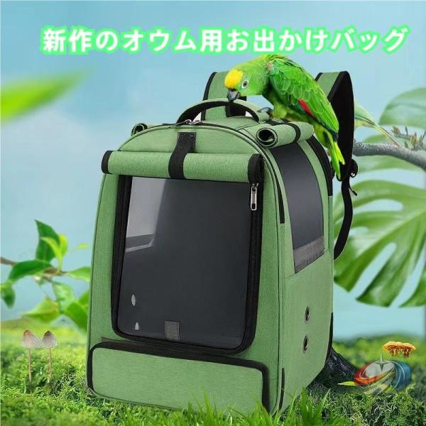 【商品名】鳥キャリー  キャリーケージ インコ 移動用 キャリーバッグ 鳥かご お散歩ケージ お出かけ バードキャリア 外出 小動物用 持ち運び 旅行 通院 移動 大容量【特徴】3面の換気　 広い視野と陰影　軽量で持ち運び可能　幅広い用途　...
