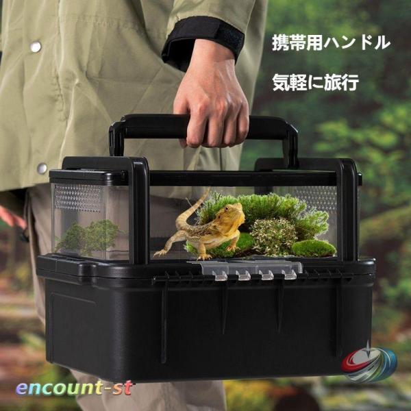 屋外の野生の収穫の爬虫類の箱の輸送のペット用品の外の脱出防止の爬虫類のペット供給箱の植物の標本のコレクションのおり?格 ?(38cm) ?(31cm) 高(15cm) 重量(2100g)