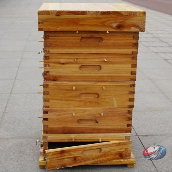 【高品質】この蜂の巣は、高品質のモミの木を使用し、各板は厳格に処理され、高温の沸騰ワックスで処理され、防水、防湿、防虫、強度と耐久性に優れています。【養蜂家向け】養蜂は芸術であり、初心者の養蜂家にも巣箱の愛好家にも最適です。そのため、この巣...