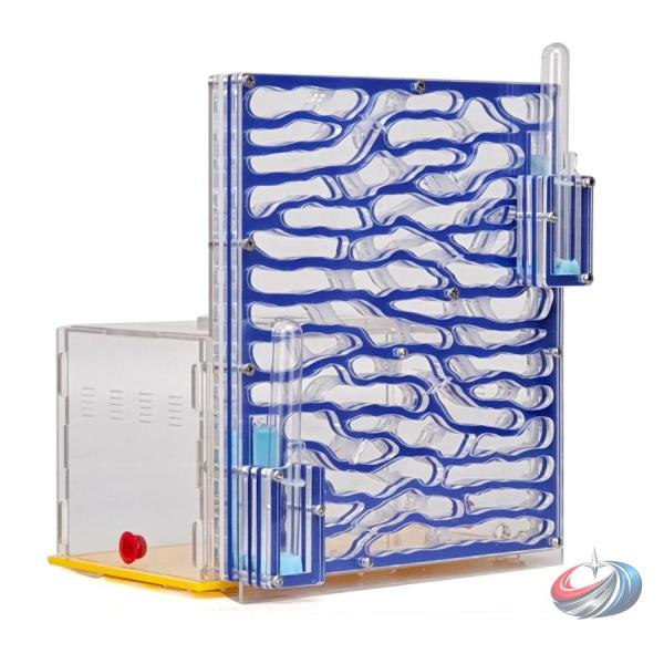 アリの巣 アリ飼育キット 大型 巣箱 アリ活動スペース 観察キット 昆虫ヴィラ 保湿性アリの巣 アクリル製ケース自由研究