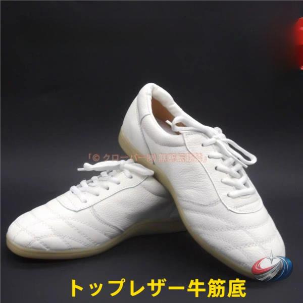 ウーシュー 太極拳シューズ 武術 靴 ソフトレザー  牛筋ソール カンフー テコンドー 気功 少林寺拳法 男女兼用 白