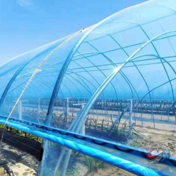 幅600cm×長さ10M 厚み0.14mm