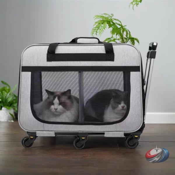 F　幅57*奥行31*高さ37　キャリバー最大長さ88cm※サイズ表の実寸法は商品によって1-3cm程度の誤差がある場合がございます。