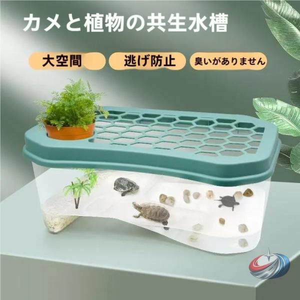 亀ちゃんの暮らしやすさを考えて作られた亀用ハウスです。素材には耐久性のあるプラスチックを使用し半透明なので中の様子が観察しやすくなっています。スイミングエリア・お食事エリア・休憩エリアと6つのエリアがあります。凹凸の付いた斜面で亀が上りやす...