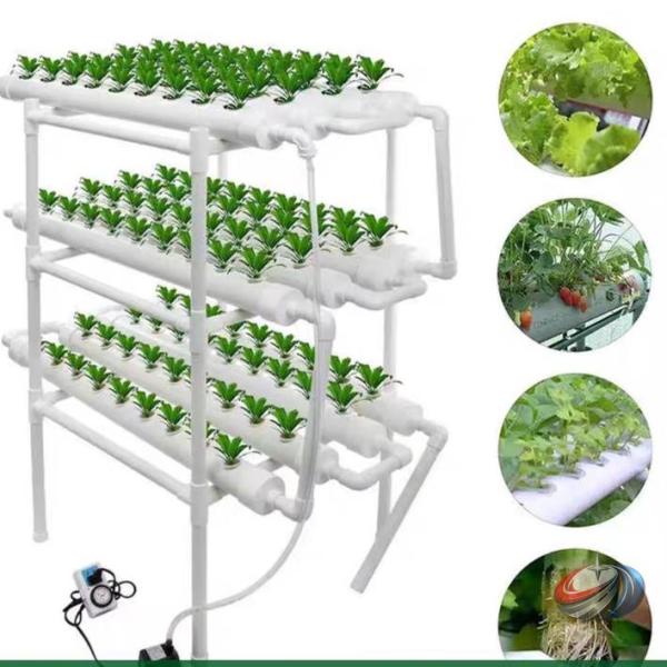 材質：この製品は、食品グレードのPVCパイプで作られています。壁の厚さ：2.0 mm、変形しにくく、耐腐食性、耐久性があり、美しいパイプの直径：63 mm、根が成長するのに十分なスペースを提供できます。ご注文が確認された後、自動循環システム...
