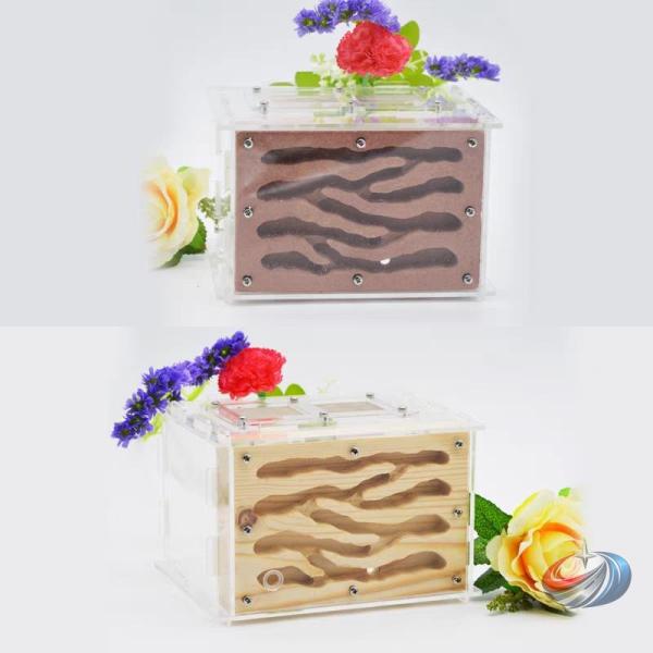 材質：高品質の木材+アクリル材料製、使用中の耐久性。サイズ：15 * 14 * 10cm / 5.9 * 5.5 * 3.9inAntsの行動を簡単に観察するために特別に設計されています、あなたは栄養価の高いアリ、仕事、そしてトンネルを和ら...