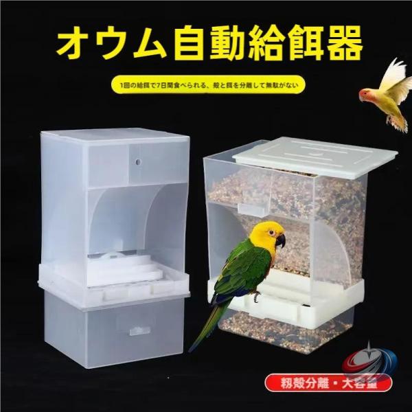 バードフィーダー 鳥 餌入れ 水入れ 自動 小鳥 餌台 食器 インコオウム えさ入れ えさいれ 鳥の餌台 500gの大容量 大容量で、フードがたっぷり入ります。残量も一目で分かるクリアカラーで、長時間のお留守番も安心です。 自動補給で楽々 ...
