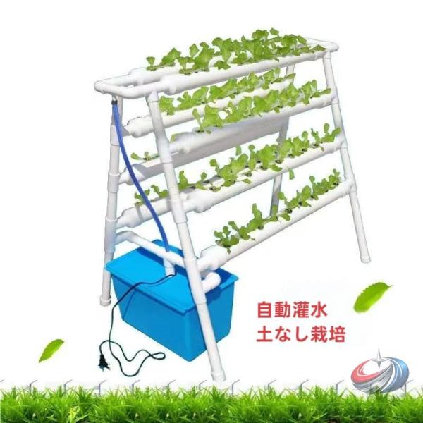 水耕栽培キット すいこう栽培キット いちご 野菜 栽培キット 室内 家庭菜園 水耕栽培セット プランター72穴 (72 穴)