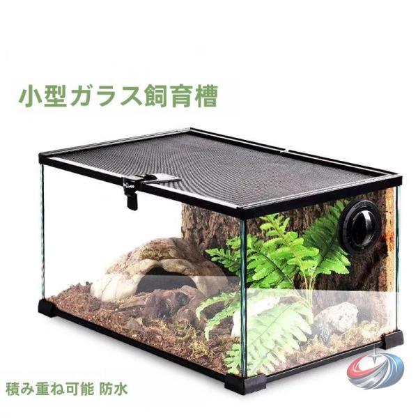 ? 素材：ガラス、高精細半透明、頑丈で美しい。爬虫類・両生類飼育に適しているガラス製テラリウムケージ、グラステラリウム。? ワイヤーアウトレットスロット：ワイヤーアウトレットスロットは、ワイヤーを押さずにラミネート加熱のニーズを満たすために...