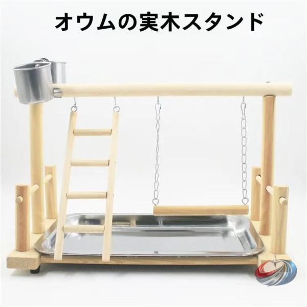 商品詳細※こちらの商品はお客様ご自身で組み立てをお願い致します。 上質な素材 天然の木製素材でカジカジして遊んでも安心です。くちばしのお手入れや、頭をこすって羽根づくろいをしたりと用途も満載です。 取り付け簡単 金具フックの吊り下げ式のアス...