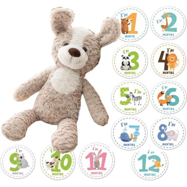 バリエーションコード : 2B2OUN55FY・サイズ：約 縦 38cm　x　約 横 18cm・撮影セット付のぬいぐるみセットふわふわ＆もこもこ でかわいいアニマルぬいぐるみ・お祝いやプレゼントハーフバースデー、誕生日にも喜ばれます・撮影セ...