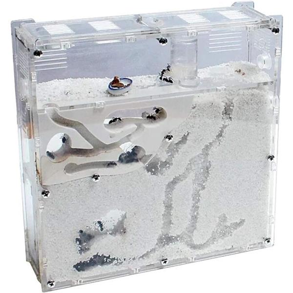 ・アリを観察するのに最適なアリ飼育セットです。・巣穴の入り口は3D立体構造となっており、砂とアリを投入することですぐに巣作りの様子を見ることができます。砂は横の入り口から入れられます。一緒に水を50mLほど入れてあげてください。表側は多数の...