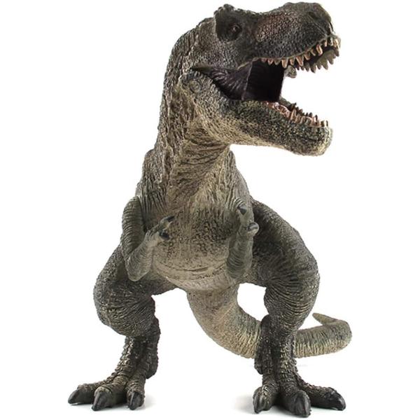 バリエーションコード : 2B6D5XNCRQ・＊ティラノサウルス（学名：genus Tyrannosaurus）は、約6，800万- 約6，600万年前（中生代白亜紀末期マストリヒシアン）の北アメリカ大陸（画像資料 ）に生息していた肉食恐...
