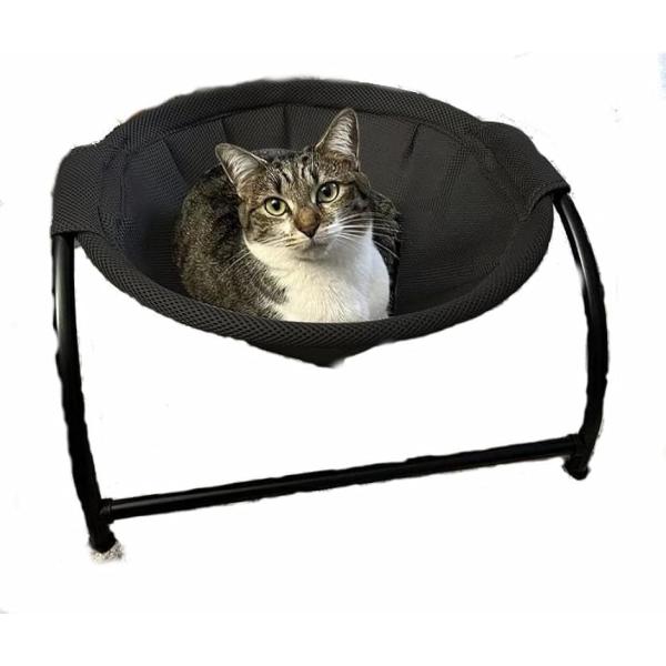 バリエーションコード : 2B9XYVGN2Nペットの健康管理猫の健康を考えたペットベッド。自律式ハンモックが体圧を分散し、快適な寝心地を提供します。通気性に優れ、湿気を防ぎます。丸洗い可能で、常に清潔を保てるため、健康維持に貢献します。多...