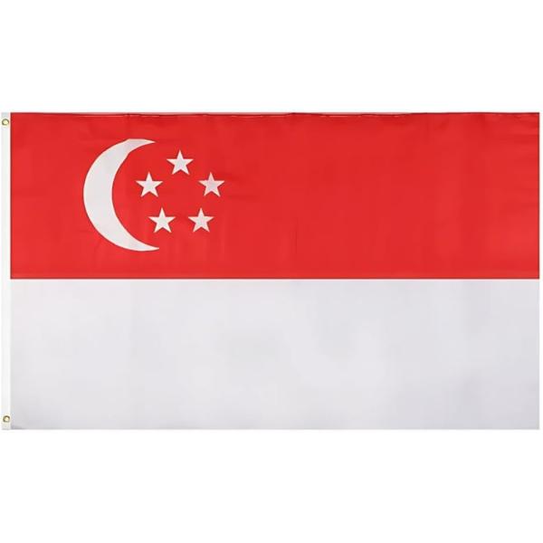 バリエーションコード : 2B9CKSFFFR「使い方いろいろ。存在感のあるハトメ式の国旗」公私ともに様々な使用用途が楽しめる大きめの国旗。ポール取り付け用の金属製通し穴もついているので取り付けも簡単。大きめですがポリエステル製なので軽量で...