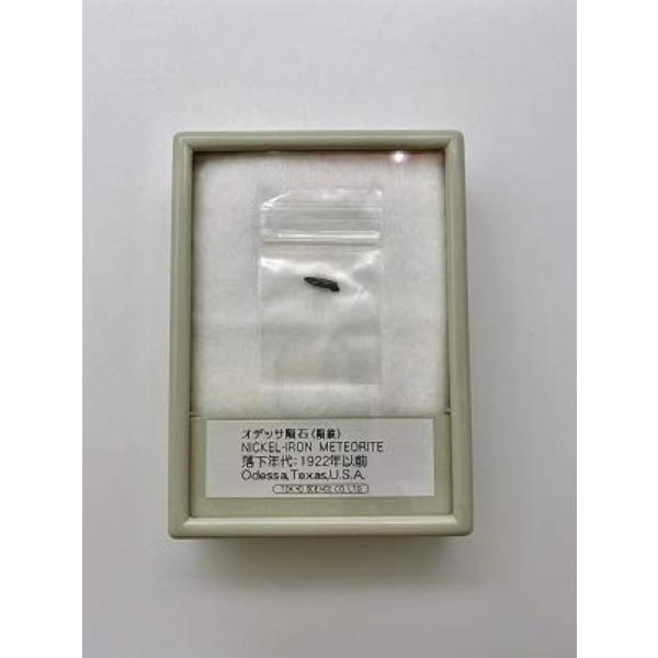 ・1922年以前アメリカ、テキサス州（Odessa. Texas.U.S.A.）で発見・約H8mm・Meteolite・商品は天然物のため形状、色合い等個々に異なります・ニッケル色