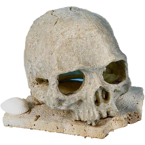 リアルなガイコツをモチーフとした爬虫類の隠れ家、オブジェです。後頭部も開口部分が設けてあり、程よく光が入り出入りもしやすく爬虫類の生活に欠かせない、実用的なデザインとなっています。本格的な見た目と質感の頭蓋骨は、飼育ケージの中で印象的なオブ...