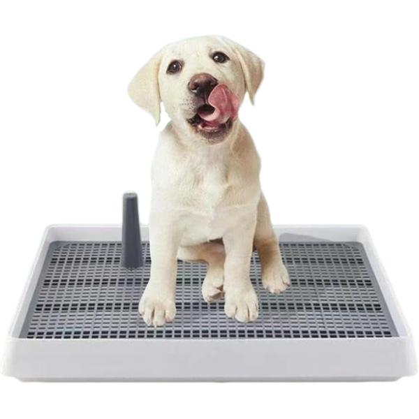 「ペットのお掃除を楽に」モルモットやうさぎなどペットの掃除を楽にするトイレです。四角形で空間を広く使えるので小動物に最適です。「高さがあり尿が付着しにくい」トレーを2.7cm高く設計しており、尿や便が足やお尻につきにくく清潔を保てます。1c...