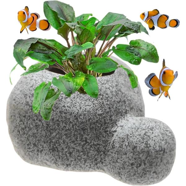 バリエーションコード : 2BJOD9JH0X「水槽オブジェにもなる水草ポット」穴の空いた丸石をモチーフとした水草用の鉢です。水槽用の水草ポットでありながら、自然な雰囲気の水槽レイアウトを演出するのに最適なアクアリウムオーナメントです。「ピ...