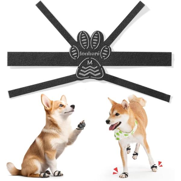 バリエーションコード : 2BJXPKDVPN「犬の必需品」肉球の大切さ。犬の肉球の表面は、小さな円錐状突起の集まクでできています。これが蹴って走る時に重要です。但し、怪我をすると皮膚の再生能力が低く、治リにくい箇所です。表皮の硬い部分は血...