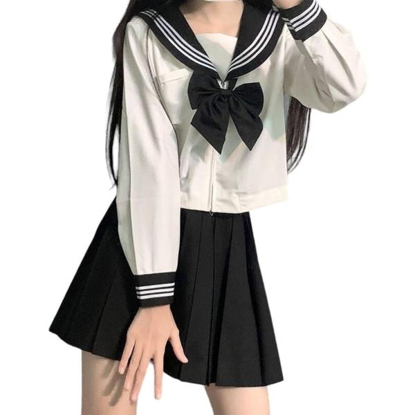 バリエーションコード : 2BJU6RP656