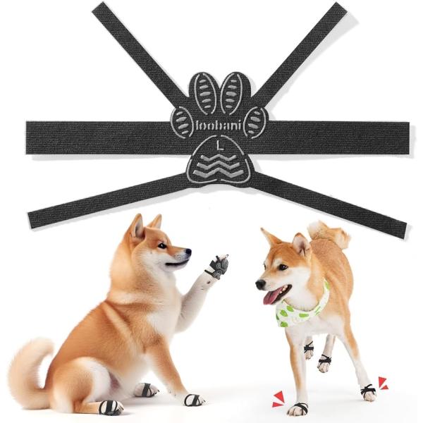 バリエーションコード : 2BJXPKDVPN「犬の必需品」肉球の大切さ。犬の肉球の表面は、小さな円錐状突起の集まクでできています。これが蹴って走る時に重要です。但し、怪我をすると皮膚の再生能力が低く、治リにくい箇所です。表皮の硬い部分は血...