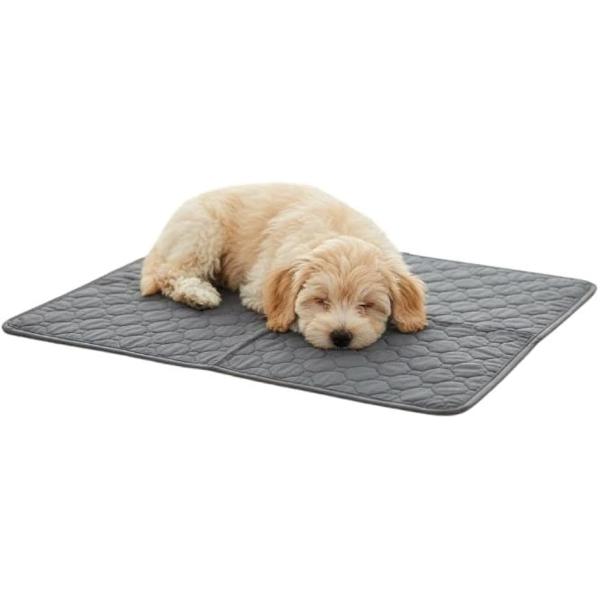 バリエーションコード : 2BRODVQ03F4層構造設計: メッシュ生地、給水槽、防水槽、滑り止めの機能を兼ね備えています。通気性が良く、給水面が素早く給水を行い、防水生地が漏れをしっかりとブロックします。これにより、快適で清潔な環境を提...