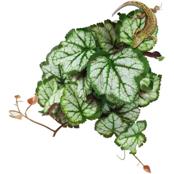 バリエーションコード : 2BRU3C49GN「熱帯生息地の雰囲気を演出」吸盤付きモンステラがケージに南国の奥行きを再現し、亀やイグアナ、ヤモリ、カエルまで多様な飼育種に隠れ場と遊び場、憩いを提供し、日々の観察も楽しく。「簡単に取り付け可能...