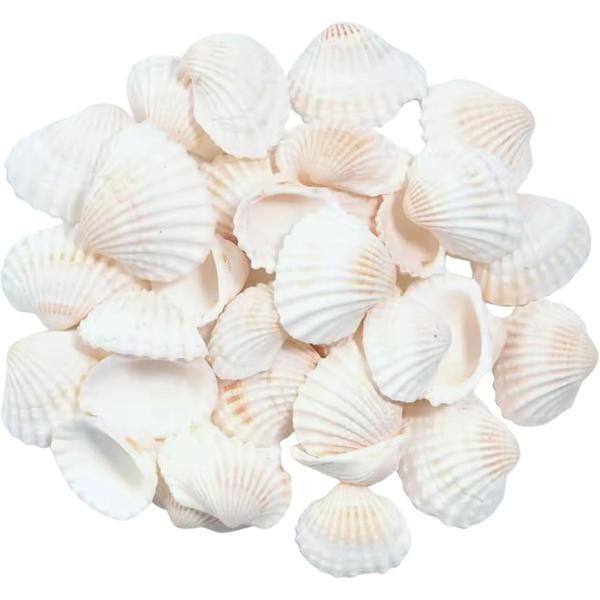 バリエーションコード : 2BUGL14QJW「豊富な200gセット・多彩なデザイン」 貝殻シェルアクセサリーパーツは約80〜100個入りの大容量セット。20mm〜30mmサイズで、ハンドメイドアクセサリーやネイルアート、DIY工作に最適な...