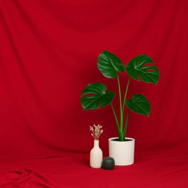 バリエーションコード : 2BUPHO9C3G「大判3mx10m 背景布」 撮影や装飾に使える、たっぷりサイズの3mx10m背景布。広いスペースをしっかりカバーでき、人物撮影・商品撮影・ステージ装飾など、プロからアマチュアまで幅広く活躍しま...