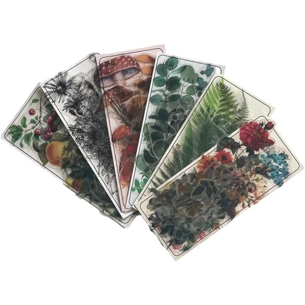 バリエーションコード : 2BURDTOQHL「多用途に使えるボタニカルデザイン」美しいボタニカルデザインが魅力のステッカーシールセットです。植物や花をモチーフにしたデザインは、手帳や日記にもぴったり。プレゼントや包装に、ギフトに華を添えま...
