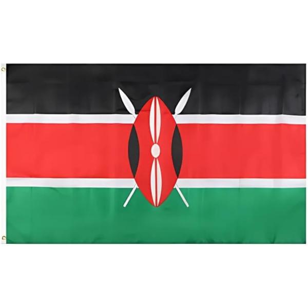 バリエーションコード : 2B9CKSFFFR「使い方いろいろ。存在感のあるハトメ式の国旗」公私ともに様々な使用用途が楽しめる大きめの国旗。ポール取り付け用の金属製通し穴もついているので取り付けも簡単。大きめですがポリエステル製なので軽量で...